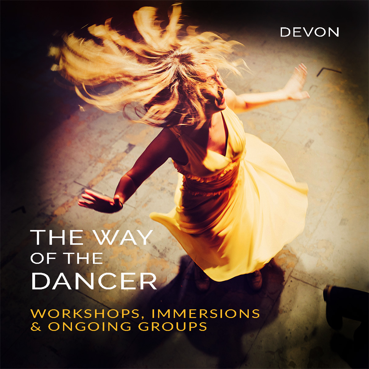 The Way of the Dancer - Devon - Glimpses of Light